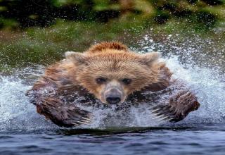 57 Interesting Images Radical Randoms to Pique Your Interest - Funny ...