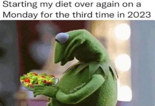 53 Funny Memes that Are Spot On - Dank Memes Gallery | eBaum's World