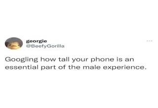 53 Funny Memes that Are Spot On - Dank Memes Gallery | eBaum's World