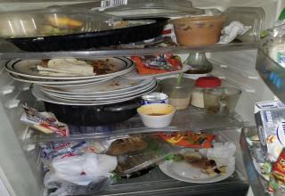 21 Dudes With Fridges That Are Chock Full of Chaos - Ftw Gallery ...