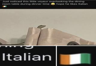 17 Dumb Pics Chock Full of Stupidity - Funny Gallery | eBaum's World