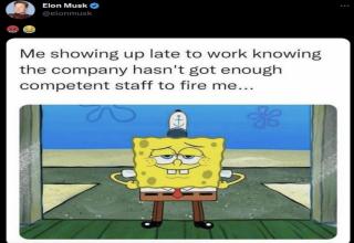 17 Dumb Pics Chock Full of Stupidity - Funny Gallery | eBaum's World