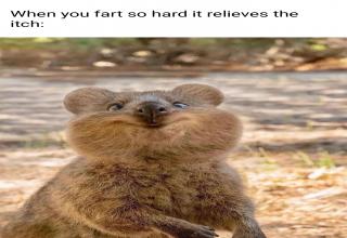 29 Darn Fine Memes Perfect for Daily Consumption | eBaum's World