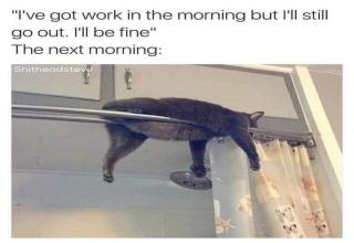 Laugh-Out-Loud: 44 Memes and Pics to Brighten Your Day - Funny Gallery ...