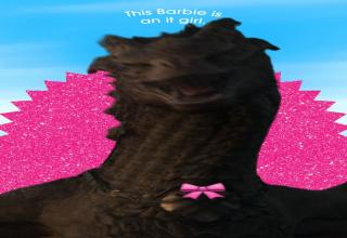 'Barbie' Posters Go Viral as Meme Edits Flood Twitter - Funny Gallery ...