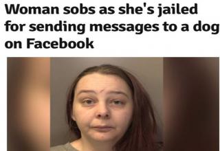 26 Pics That Made Us 'Hold Up a Sec' - Funny Gallery | eBaum's World