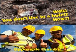 Dank Delights: 37 Memes Guaranteed to Make You Laugh - Funny Gallery ...