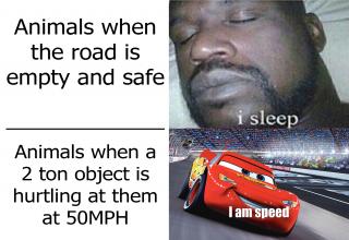 Dank Delights: 37 Memes Guaranteed to Make You Laugh - Funny Gallery ...