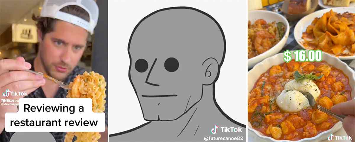 NPC Food Reviewer Is the Ultimate De-Influencer - Ftw Video | eBaum's World