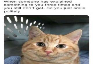32 Free Memes for Those on a Budget - Funny Gallery | eBaum's World