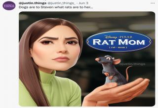 '55 Burgers, 55 Fries': The Best 'I Think You Should Leave' Memes From ...