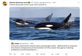 'They're Orca-nizing': 31 Killer Orca Whale Memes | eBaum's World