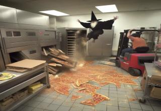 A.I. Wizards are Raiding Fast Food Restaurants - Funny Gallery | eBaum ...