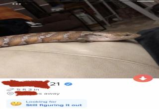 22 Instant Rejection-Worthy Fails Seen on Dating Apps - Funny Gallery ...