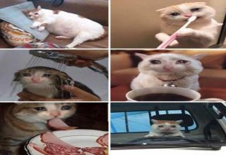 35 Monday Work Memes to Help You Through the Grind | eBaum's World