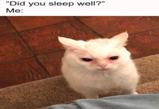 35 Monday Work Memes to Help You Through the Grind | eBaum's World