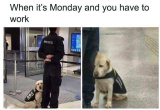 35 Monday Work Memes to Help You Through the Grind | eBaum's World