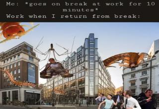 35 Monday Work Memes to Help You Through the Grind | eBaum's World