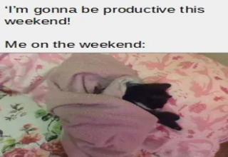 20 Monday Morning Work Memes Ready to Clock In - Funny Gallery | eBaum ...