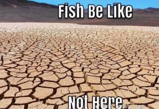 27 Unhinged Absurdist Memes to Confuse You - Funny Gallery | eBaum's World