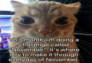 27 Unhinged Absurdist Memes to Confuse You - Funny Gallery | eBaum's World