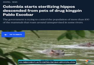 24 of the Funniest Headlines of the Week - Funny Gallery | eBaum's World