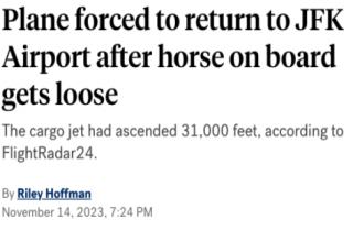 24 of the Funniest Headlines of the Week - Funny Gallery | eBaum's World