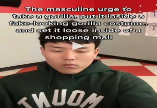 23 Wild TikTok Screenshots From the Most Cursed App - Funny Gallery ...