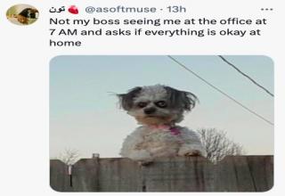 Monday Work Memes: 19 Fresh Memes to Help You On Your Grind - Funny ...