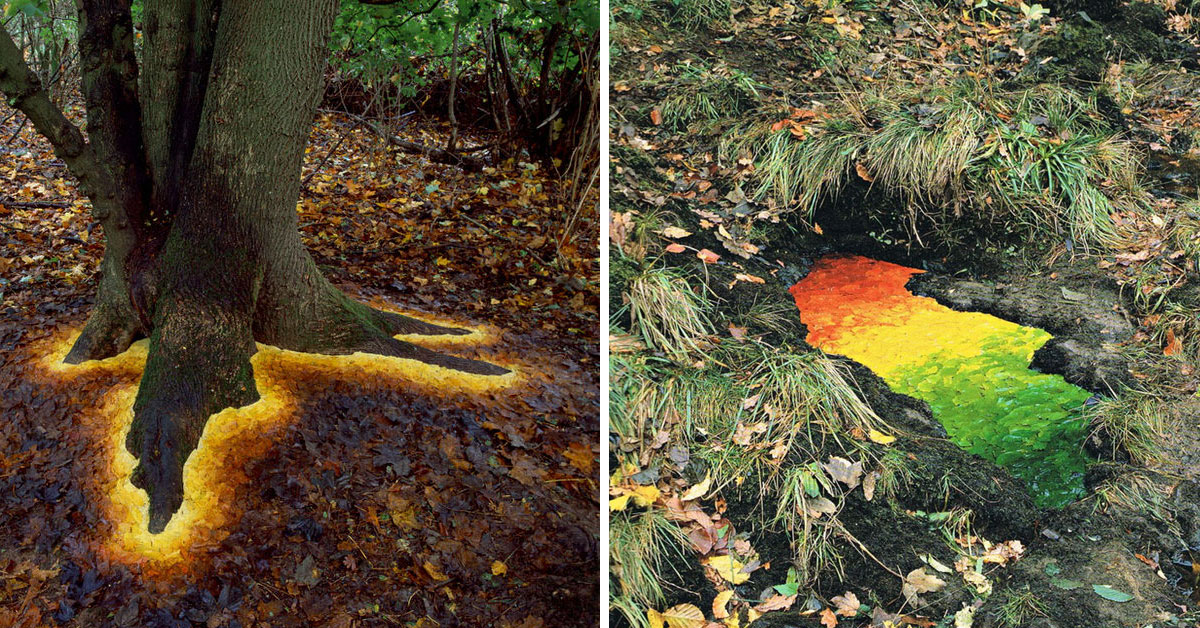 17 Non-Photoshopped Pics of Nature that are Truly Awesome - Funny ...