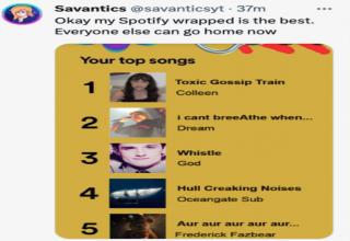 30 Spotify Wrapped Memes Judging Your Taste in Music - Funny Gallery ...