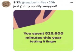 30 Spotify Wrapped Memes Judging Your Taste in Music - Funny Gallery ...