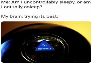 27 Sleepy Memes For People Who Can't Get Out of Bed - Funny Gallery ...
