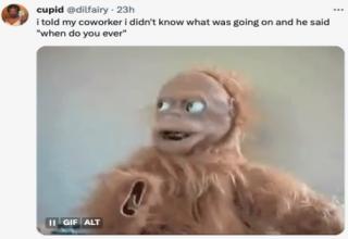 TGIF: 21 Work Memes to Laugh at On Your Break - Funny Gallery | eBaum's ...