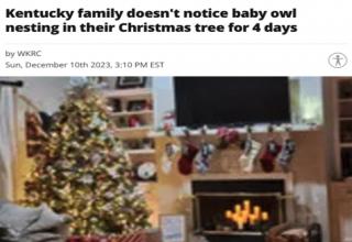 20 of the Funniest Headlines of the Week - Funny Gallery | eBaum's World