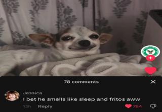 20 Brutal Roasts and Comments to Strike Fear in Your Heart - Funny ...