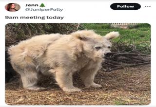 TGIF: 20 Friday Work Memes to Send You Into the Weekend - Funny Gallery ...