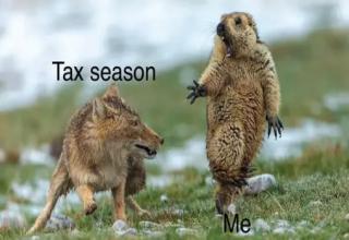 31 Tax Season Memes Here to Audit You - Funny Gallery | eBaum's World