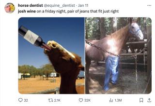 34 Josh Memes Because It's Josh O'Clock Somewhere - Funny Gallery ...