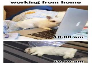 20 Monday Work Memes to Soothe the Pain of Clocking In - Funny Gallery ...