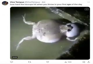 26 Zyn Memes to Help Power the Zyn-surrection - Funny Gallery | eBaum's ...