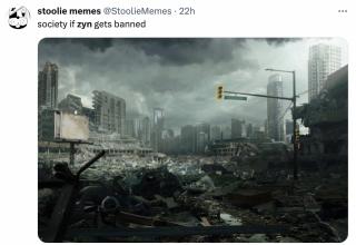 26 Zyn Memes to Help Power the Zyn-surrection - Funny Gallery | eBaum's ...