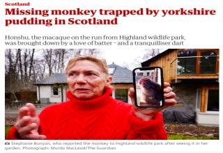 The 20 Most Outrageous and Funniest Headlines From This Past Week ...