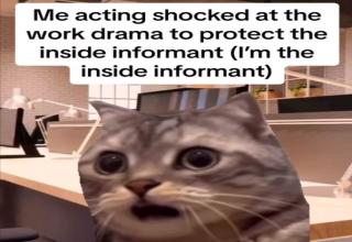 20 Funny Work Memes to Clock Out With - Funny Gallery | eBaum's World