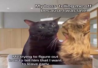 20 Funny Work Memes Working Overtime to Make You Laugh - Funny Gallery ...