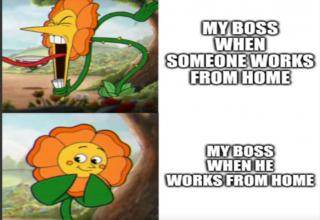 20 Funny Work Memes Working Overtime to Make You Laugh - Funny Gallery ...