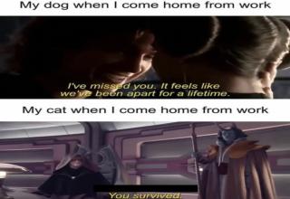 Tuesday Morning Randomness: 53 Randoms to Read On the Squatter - Funny ...