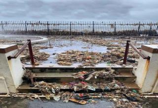 Tuesday Morning Randomness: 53 Randoms to Read On the Squatter - Funny ...