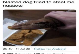 44 Funny Food Pics and Memes to Make You Lose Your Appetite - Funny ...