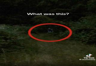 Cryptids of North America: Six Urban Legends Terrorizing the American Psyche - Wtf Gallery ...